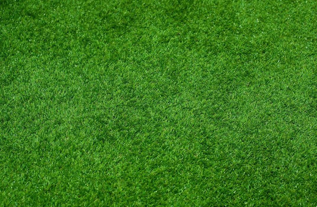 20mm Artificial Grass | Nationwide Delivery | Tuda – Tuda Grass