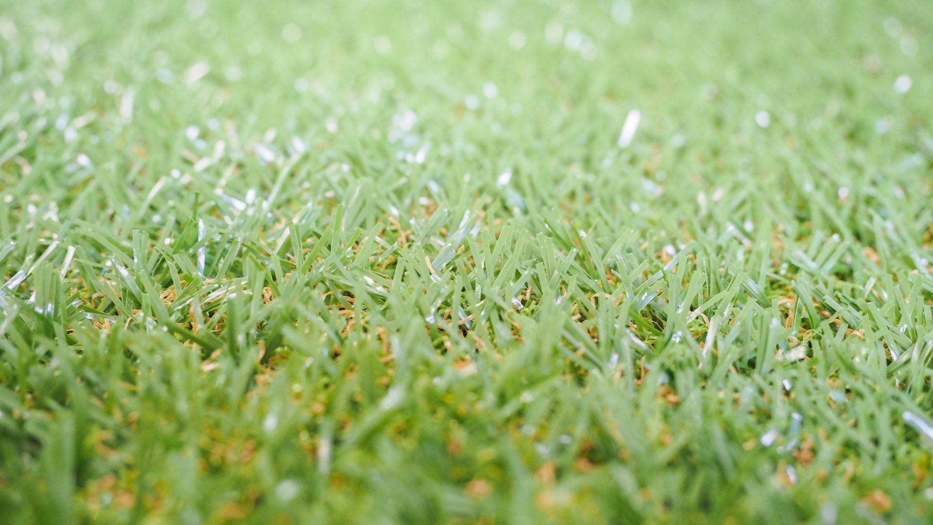 7mm Artificial Grass | Competitive Trade Prices | Tuda – Tuda Grass