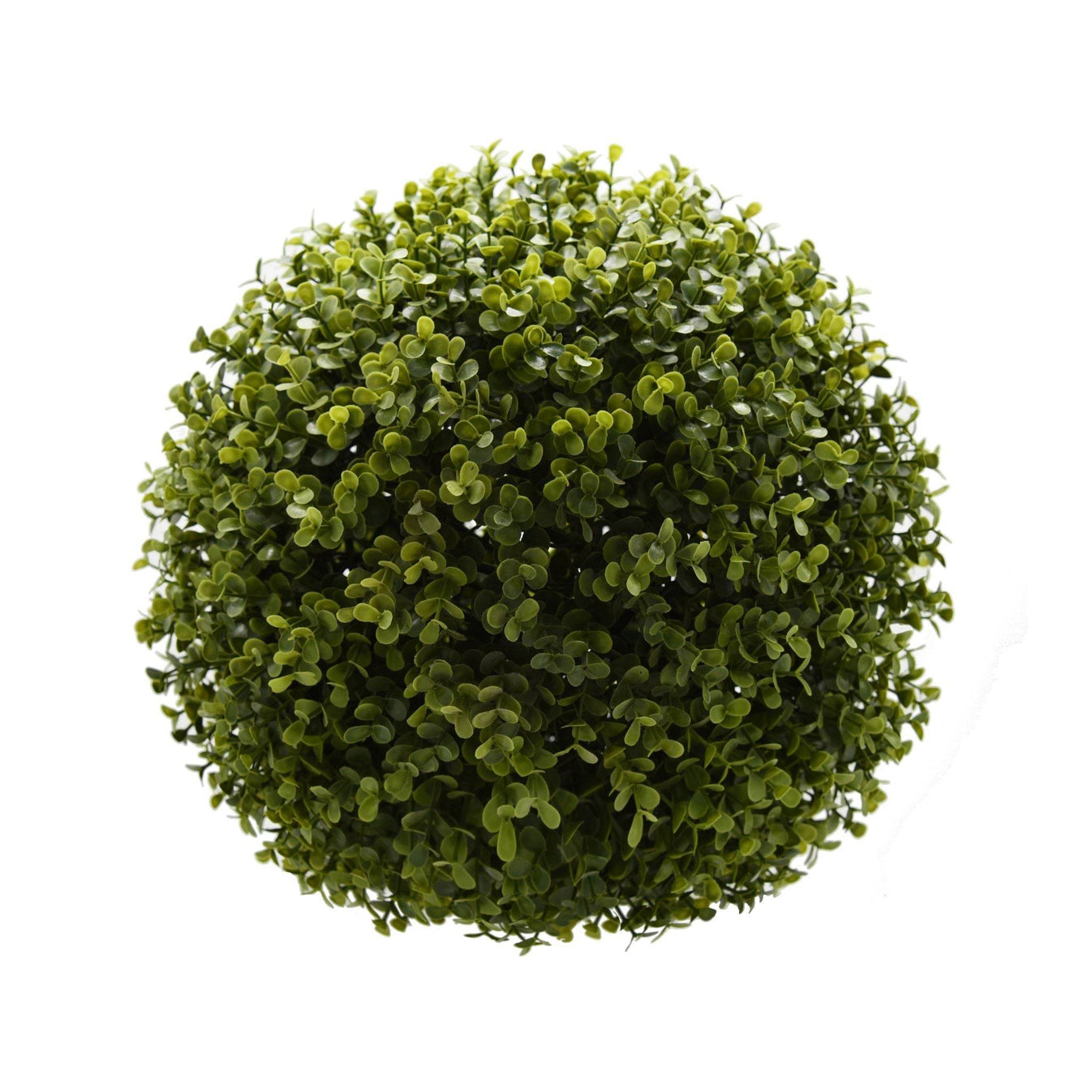 Buxus Topiary Ball | Competitive Trade Prices Available – Tuda Grass